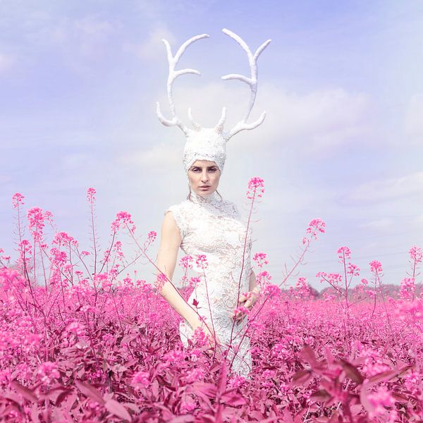 Pink Lady, Mike Darzi by 1x on canvas, poster, wallpaper and more