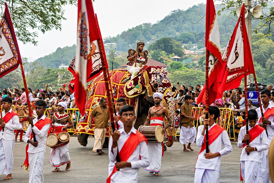 The Perahera Festival in Kandy by Roland Brack on canvas, poster ...