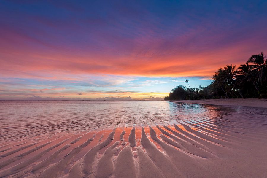 The best sunset ever by Laura Vink on canvas, poster, wallpaper and more