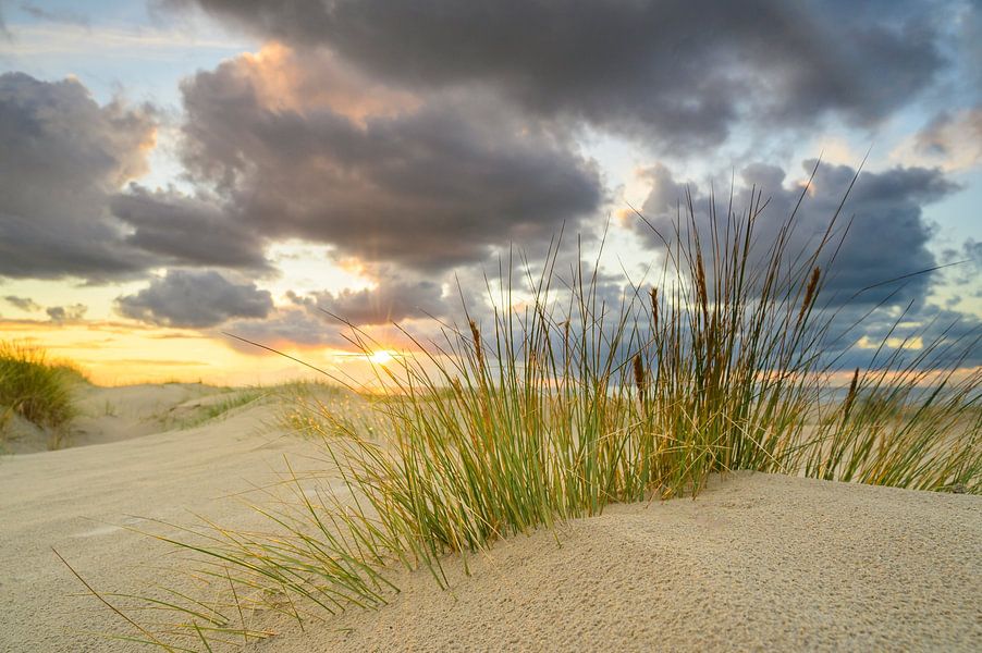 Zonsondergang op het strand van Texel met zandduinen op de voorgrond van Sjoerd van der Wal ...