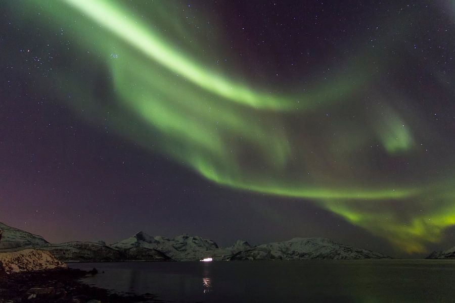 Northern Lights, Skulsfjord by Freek van den Driesschen on canvas ...