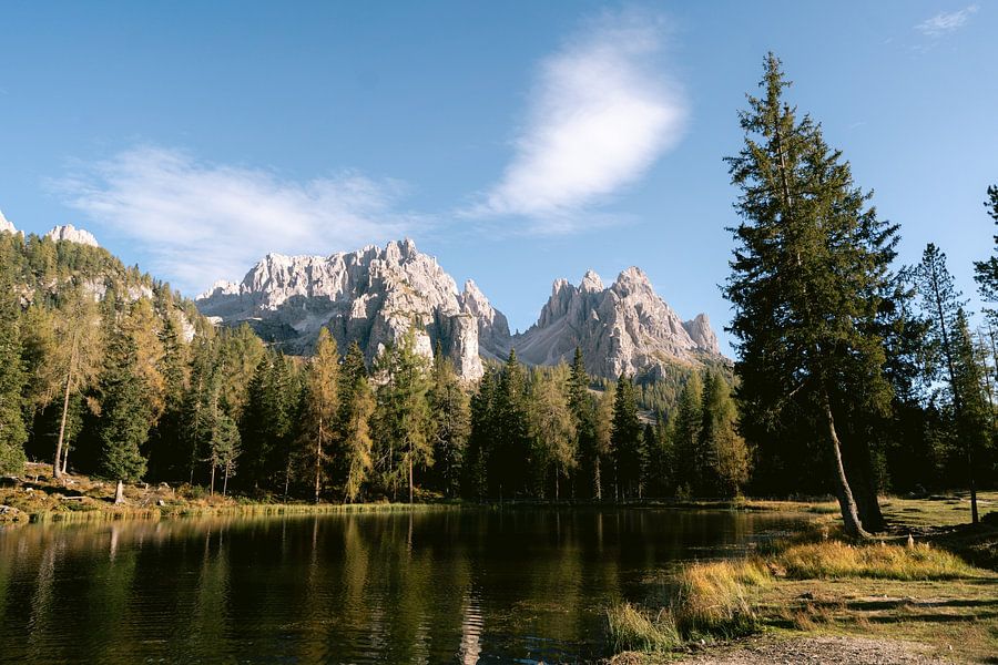Prachtige weerspiegeling van bergen en bossen aan de rand van een meer ...