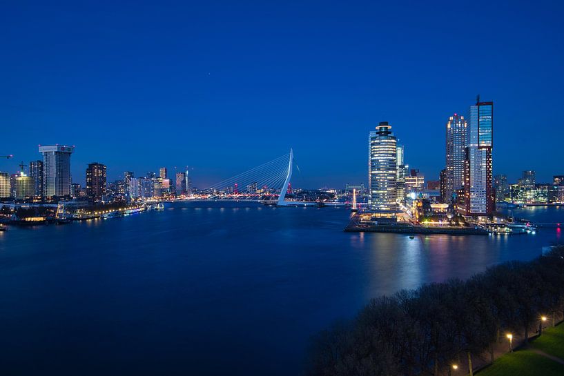 Rotterdam At Night Wallpaper 1440x2630 Erasmus Bridge, Night,