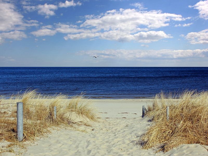 Toegang tot het strand in maart van Ostsee Bilder op canvas, behang en meer