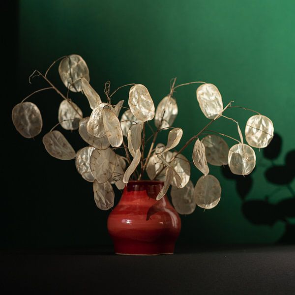 Judaspenning in vaas van Remke Maris op canvas, behang en meer