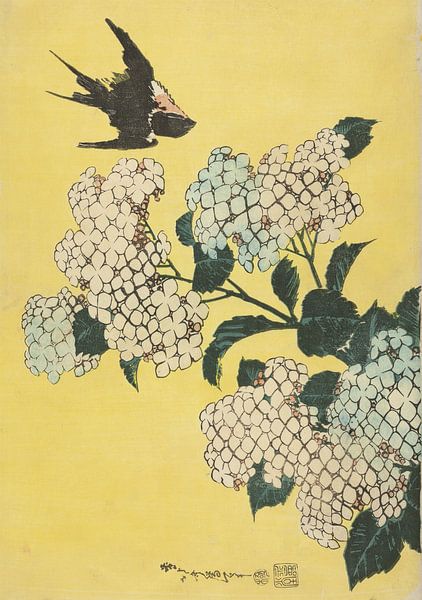 Hortensia en zwaluw, Katsushika Hokusai op canvas, behang, poster en meer