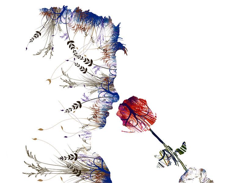 Bloem. Ruiken aan een roos. Modern en abstract. Witte achtergrond. van ...