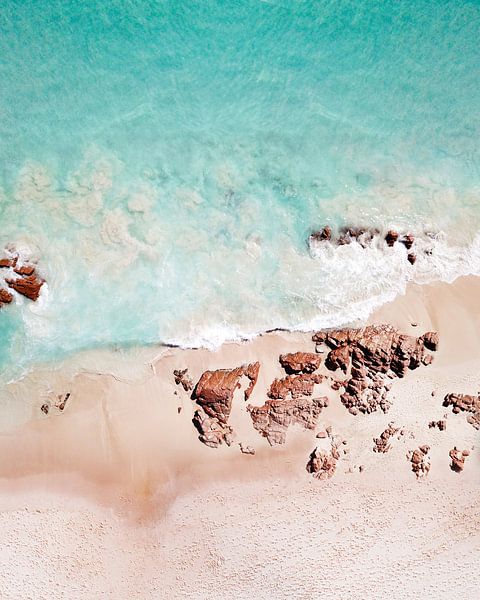 Gouden Roos Strand van Gal Design op canvas, behang en meer