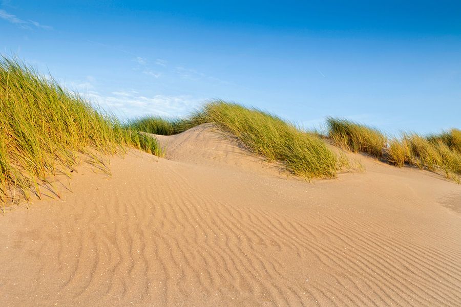 duinen langs de Nederlandse kust van gaps photography op canvas, behang ...
