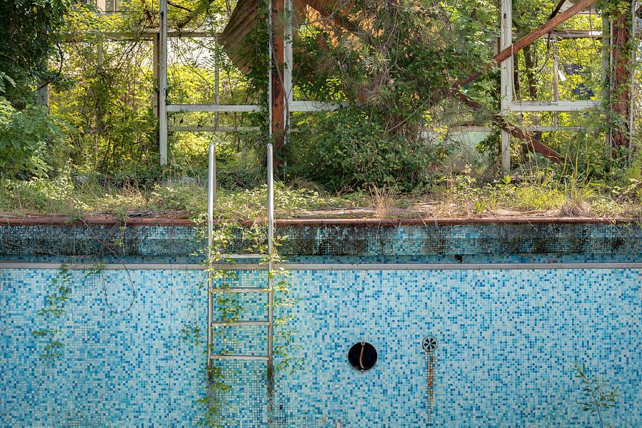 The ladder of a dilapidated swimming pool by Perry Wiertz on canvas ...
