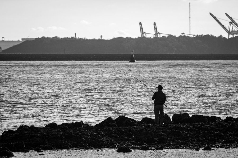 Vissen aan de Waterweg van Kevin Ratsma op canvas, behang en meer