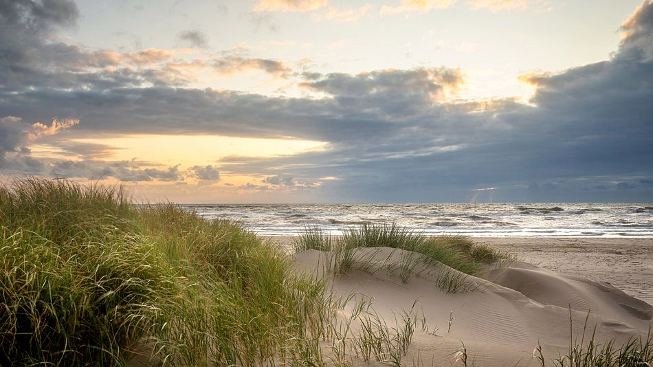 Duinen van Petten aan Zee (Noordzee) van Martijn van Dellen op canvas ...