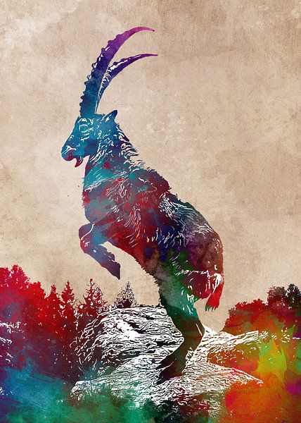 Alpine Ibex Drawing