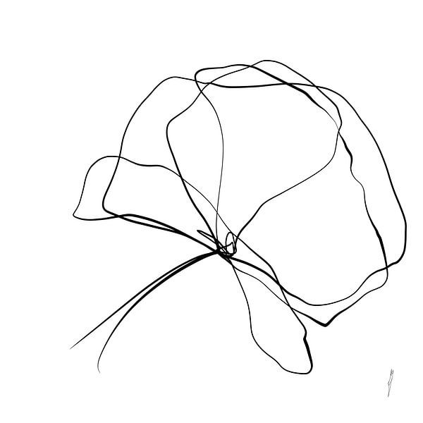 Poppy one-line drawing in series part 3 by AnkieArt on canvas, poster ...