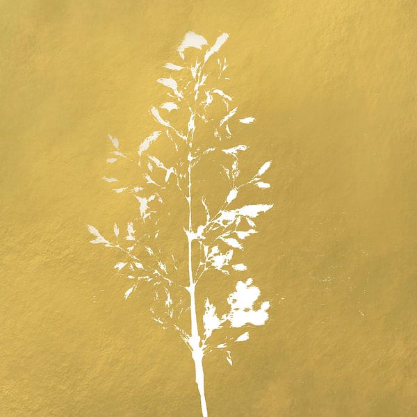 Wit gras op gouden achtergrond. Botanische kunst van Dina Dankers op canvas, behang en meer