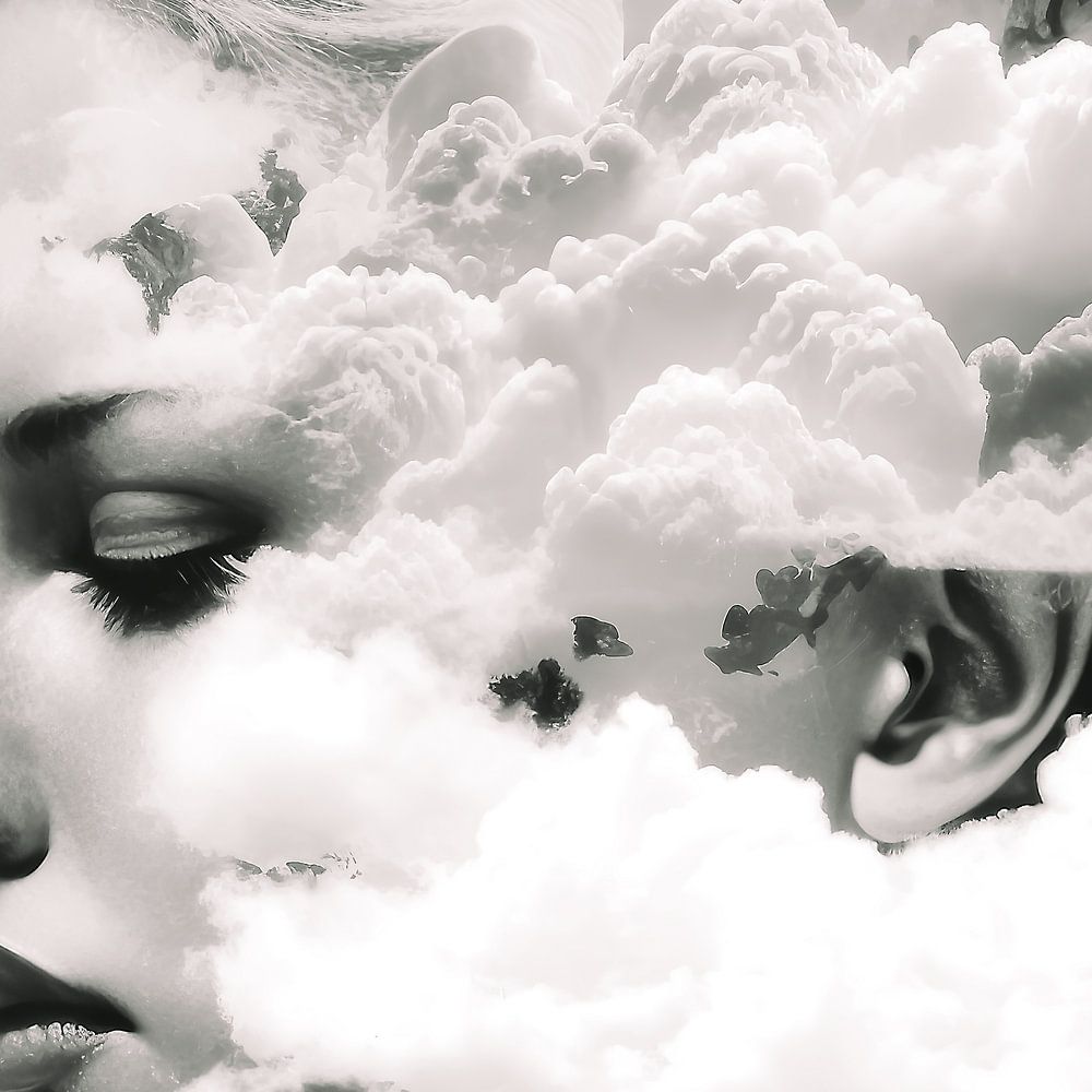 Hoofd in de wolken portret van Vlindertuin Art op canvas, behang en meer