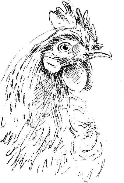 Zwart wit inkt pen schets kip van Emiel de Lange op canvas, behang en meer