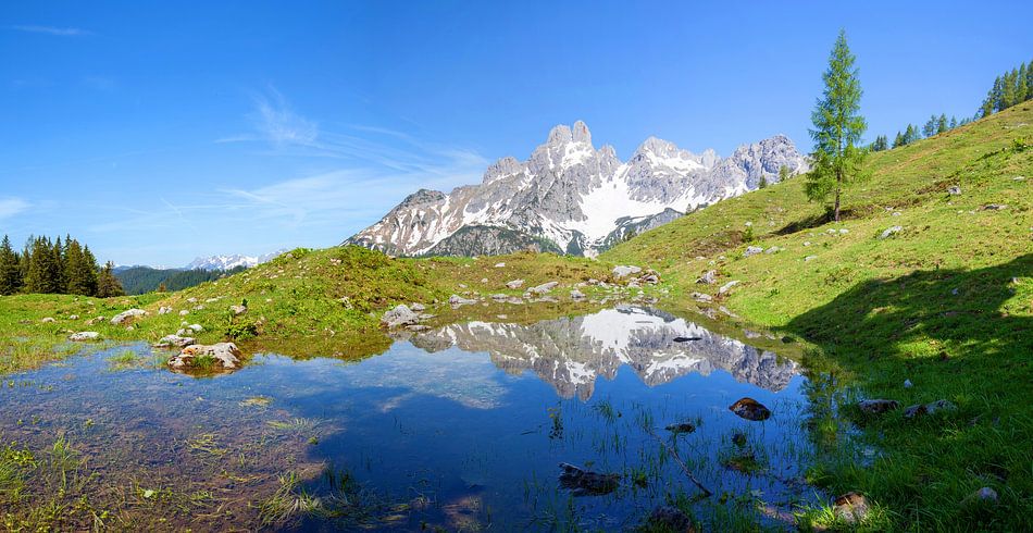 De bisschopsmijter in de Lacke van Christa Kramer op canvas, behang en meer