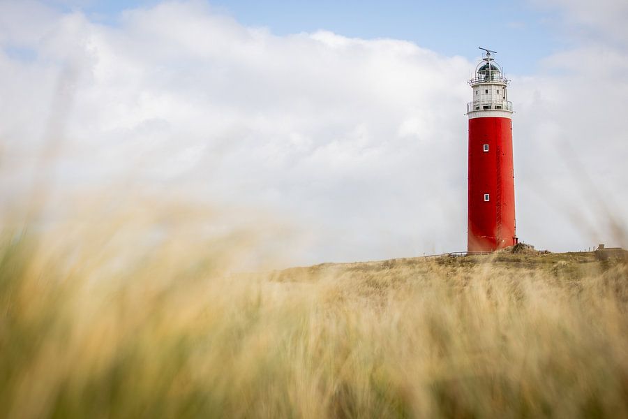 Vuurtoren van Texel vanuit de duinen van Marjon Kocks op canvas, behang ...