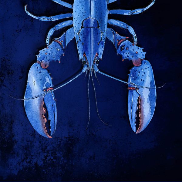 De Zeldzame Schoonheid van de Blauwe Kreeft van Color Square op canvas, behang en meer