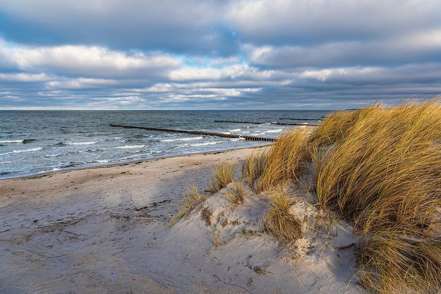 Duin en kribben op het strand van de Oostzee op Fischland-Darß van Rico ...