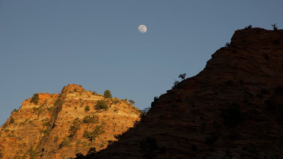 Maan boven Zion National Park van Bart van Wijk Grobben op canvas ...