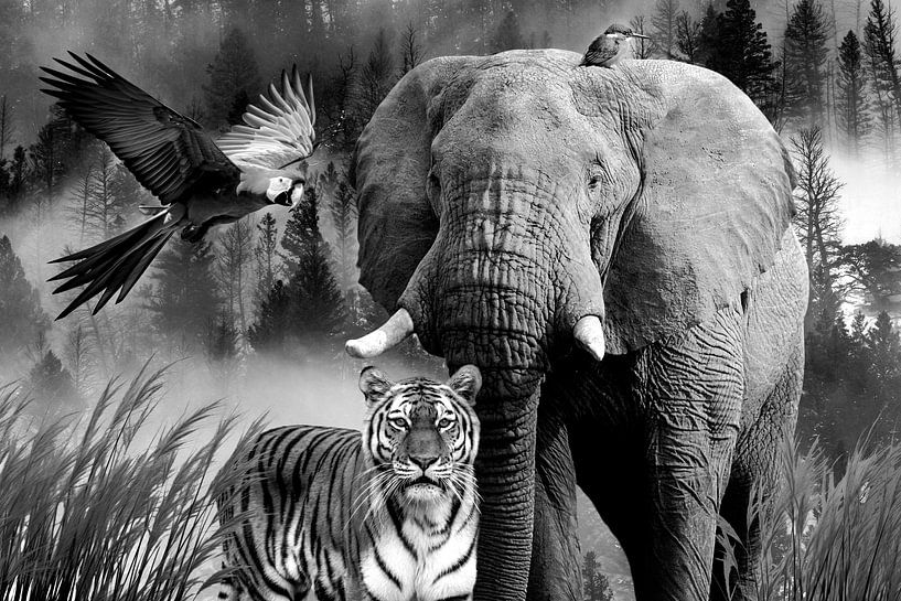 Jungle Olifant Muurcirkel Jungle Dieren Planten Kinderen