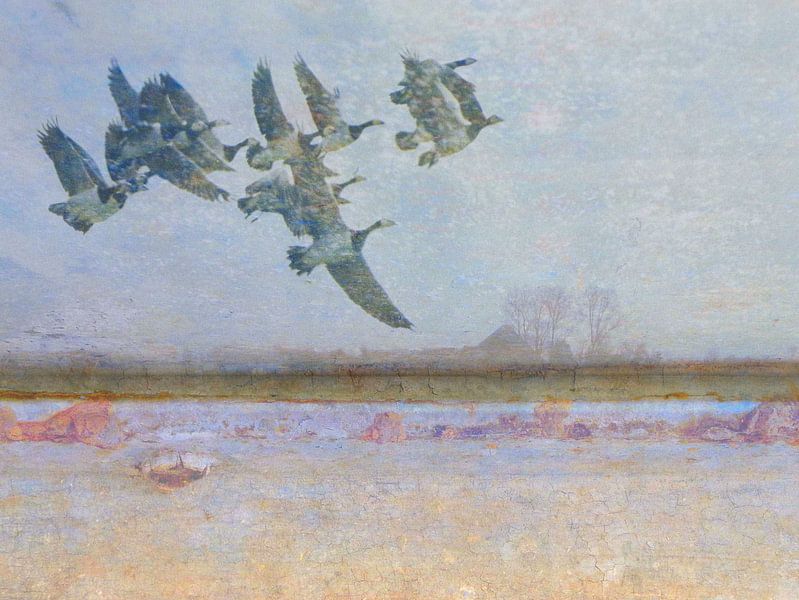 Brandganzen van Ger Veuger op canvas, behang en meer