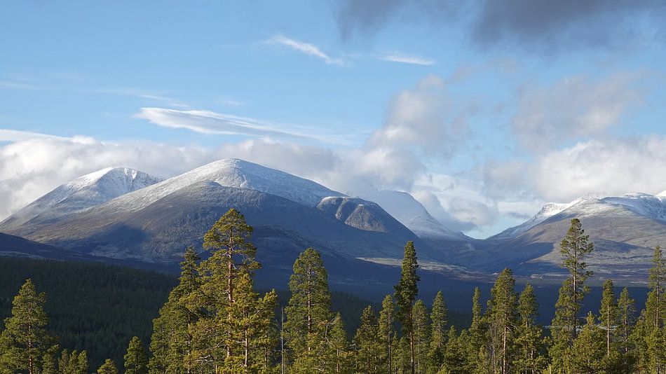 Storronden berg in Nationaal Park Rondane in Noorwegen van Aagje de ...