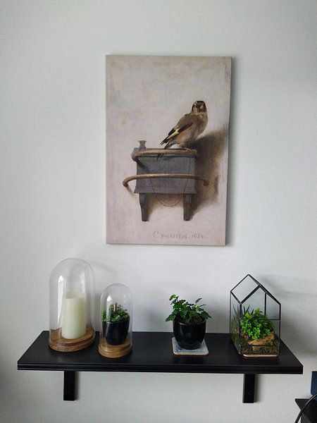 Der Distelfink von Carel Fabritius ArtFrame, Leinwand, Poster und mehr ...