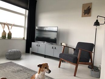 Der Distelfink von Carel Fabritius Poster & Leinwand | Art Heroes