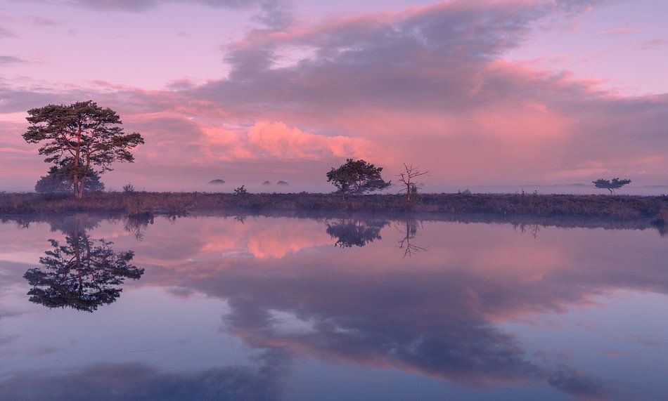 weerspiegeling op het Dwingelderveld van KB Design & Photography (Karen ...