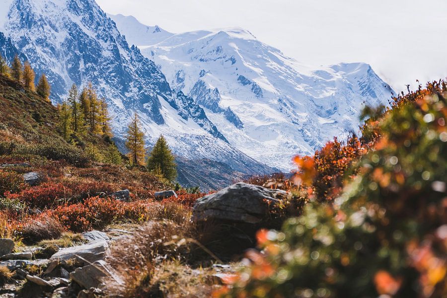 Uitzicht op de gletsjer in de herfst, Mont-Blanc, Chamonix ...