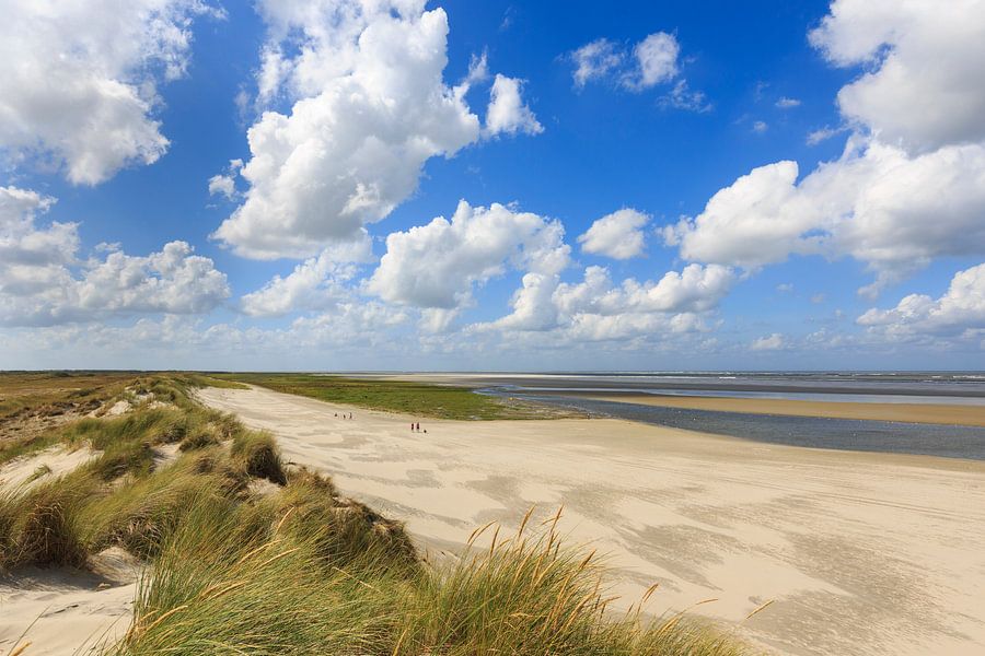Strand Ameland, groene strand van Anja Brouwer Fotografie op canvas ...