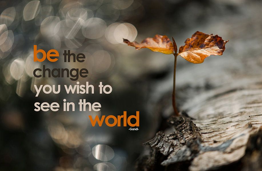 Quote: Be the change you wish to see in the world van Andrea Gulickx op ...