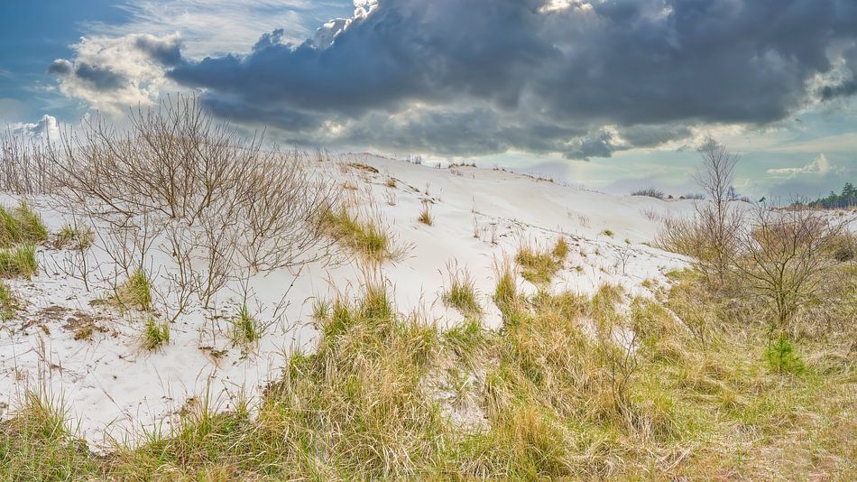 Duin bij Schoorl ook wel de Schoorlse duinen van eric van der eijk op canvas, behang en meer