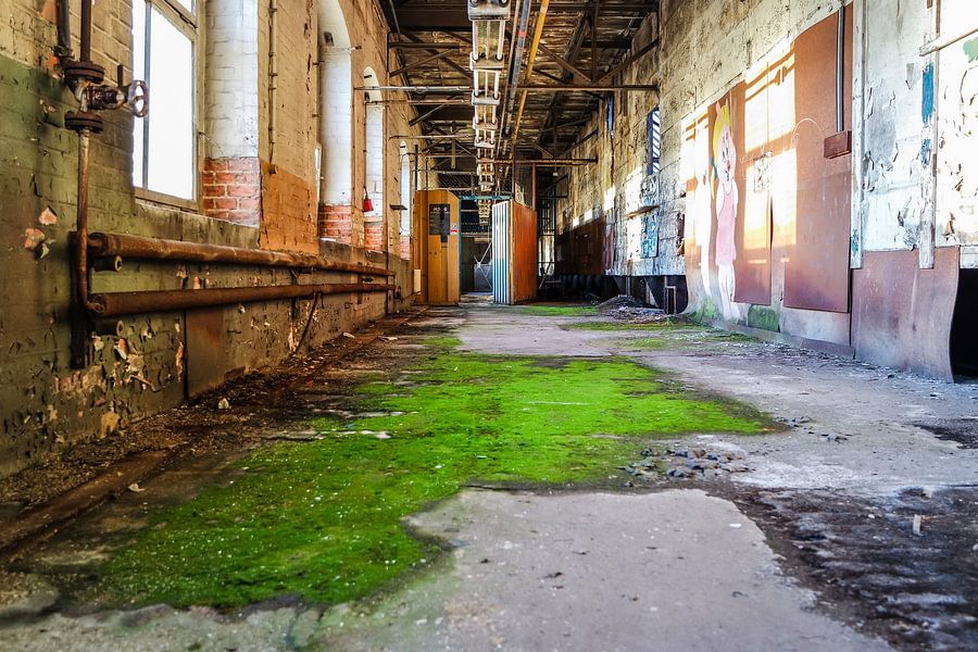 Verloren Plek "Verlaten Plekken" in Oost Duitsland van Animaflora ...