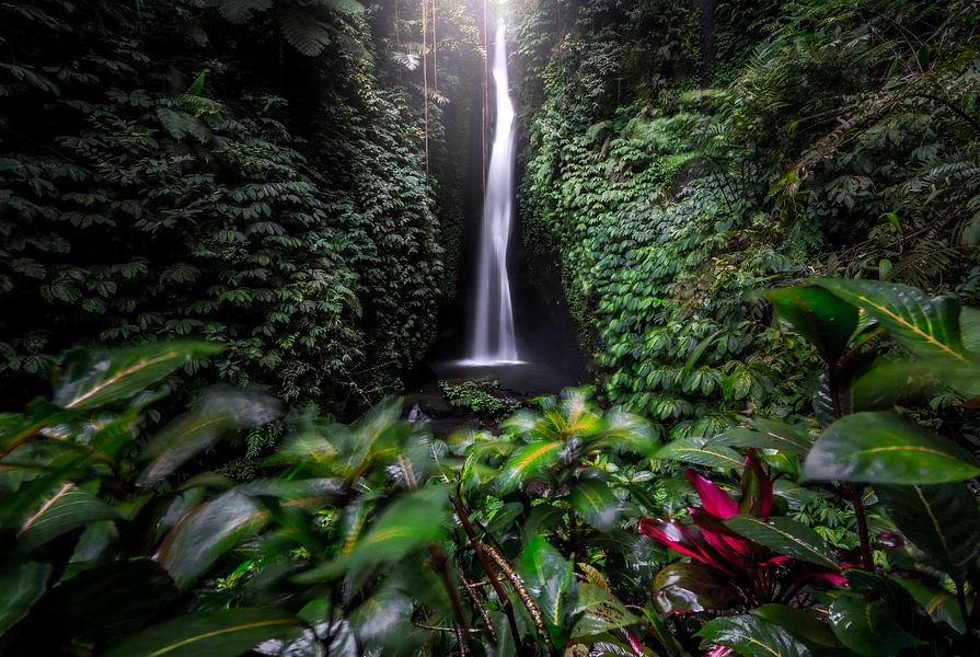 Waterval in Jungle Bali Leke Leke van Rudolfo Dalamicio op canvas ...