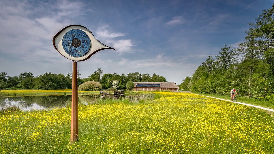 The eye of the Curringherveld at Kornhorn by Martijn van Dellen on ...