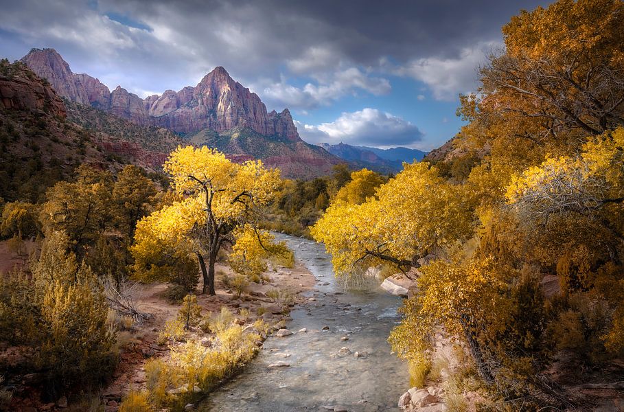 Zion national park van Rob Visser op canvas, behang en meer