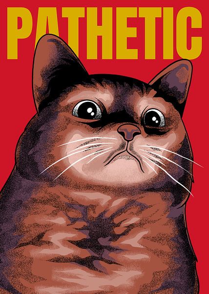 Pathetic Cat Meme by Adam Khabibi on canvas, poster, wallpaper and more