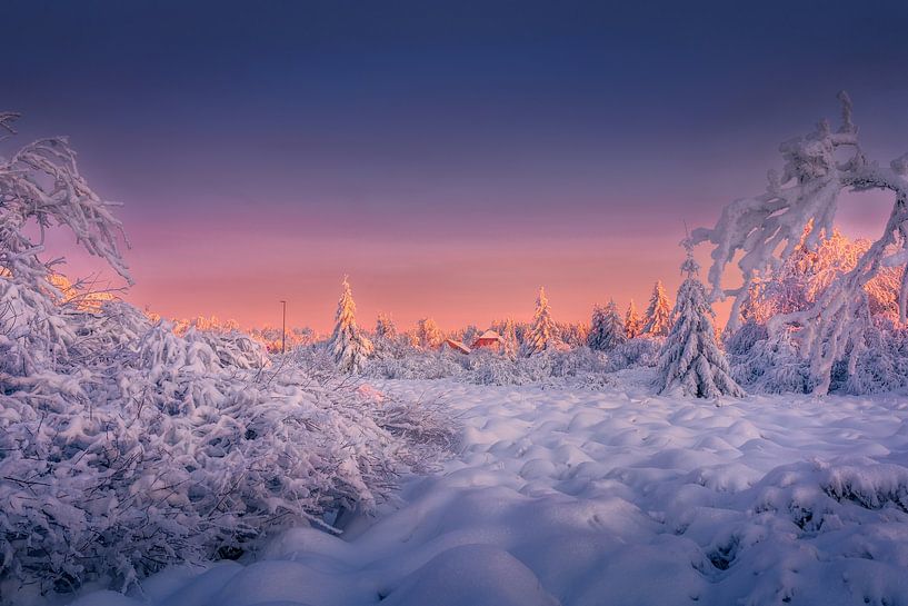 Sunset Glow Snow