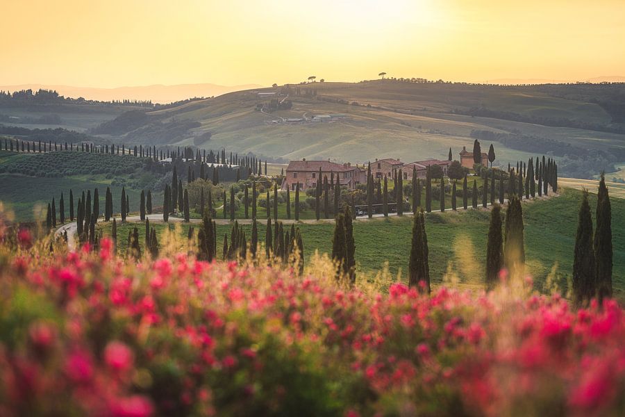 Italië Toscane cipressenlandschap in de avond van Jean Claude Castor op ...