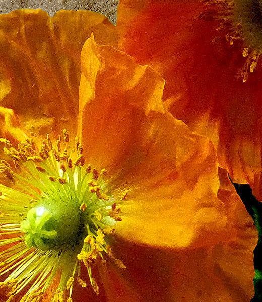 Yellow Moon by Kay Weber on canvas, poster, wallpaper and more