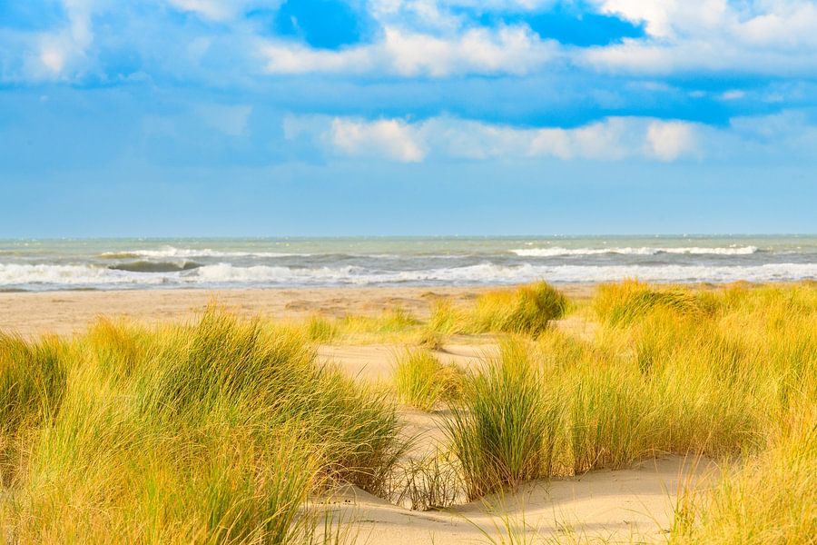 Zandduinen bij het Noordzeestrand op Texel van Sjoerd van der Wal ...