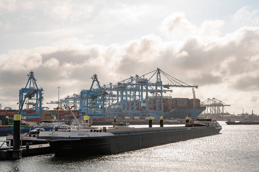 Scheepvaartcontainerterminal in de haven van Rotterdam met een ...
