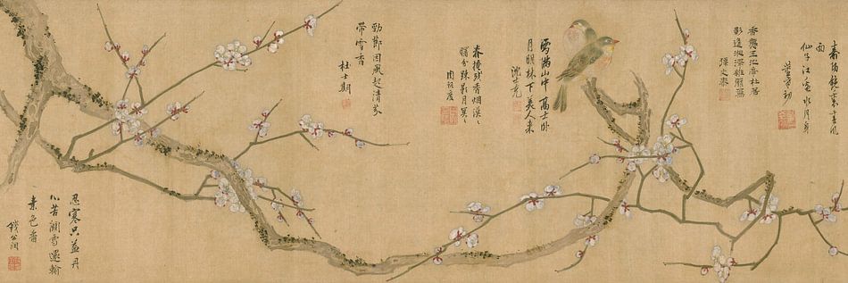 Chen Jiru,Plum blossom and bird, Chinese Painting Bird Blossom on ...