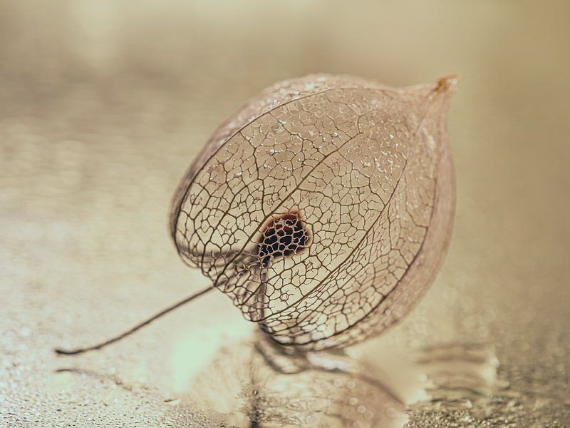 Rust en kalmte in natuurlijke zachte goud en beige tinten: Een ...