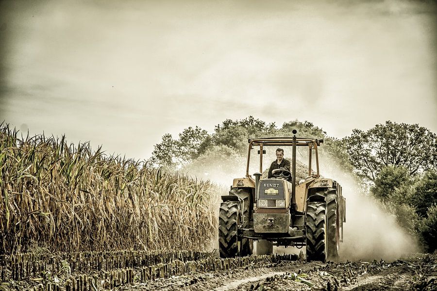 Nostalgisch mais hakselen, zoals het vroeger ging van Cynthia ...
