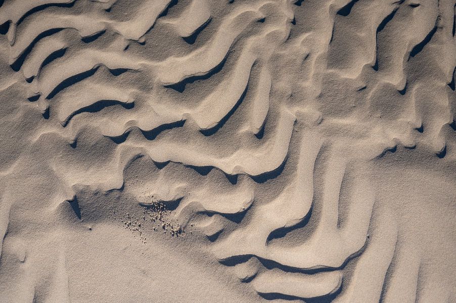 Zandpatronen op het strand van de wind die over het zand blaast van ...